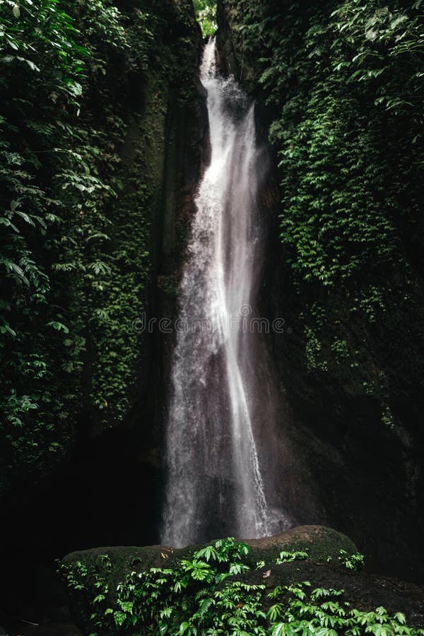 Beautiful Waterfall in Tropical Rainforest. Stock Image - Image of ...