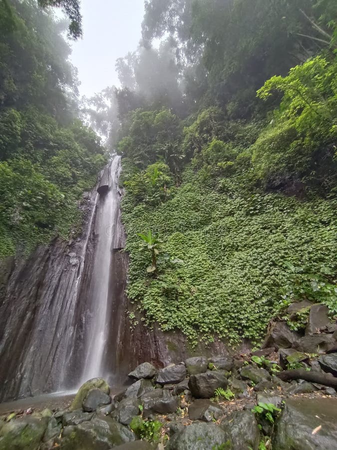 Beautiful Waterfall View in the Middle of the Forest with Clean Water ...