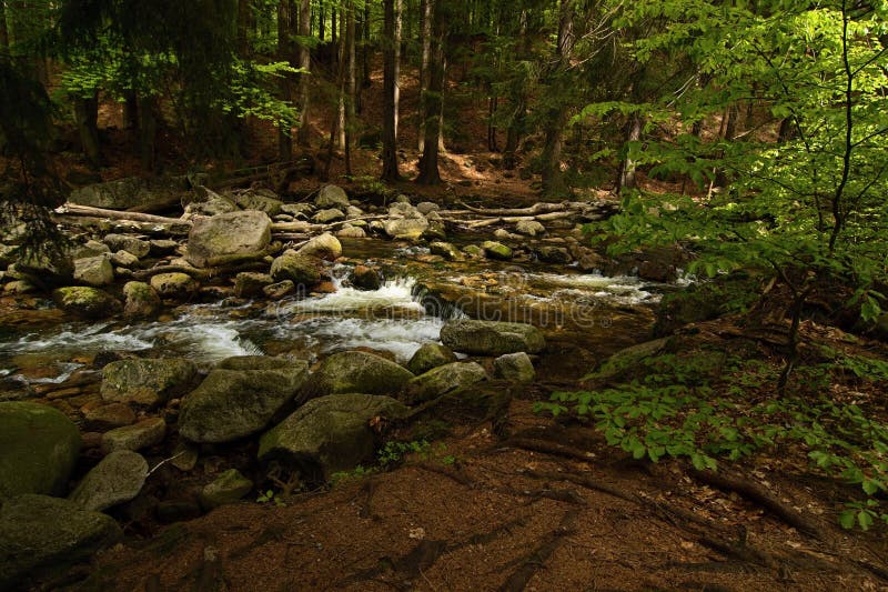 Waterfalls on a Stream in the Forest Stock Photo - Image of park ...