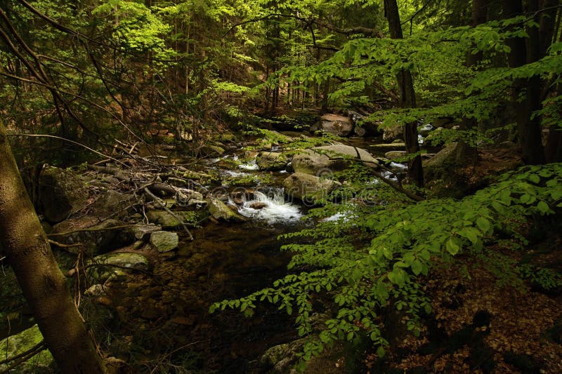 Waterfalls on a Stream in the Forest Stock Photo - Image of creek ...