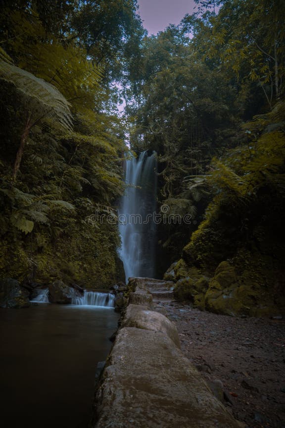 Beautiful Waterfalls West Java Stock Photo - Image of autumn, plant ...