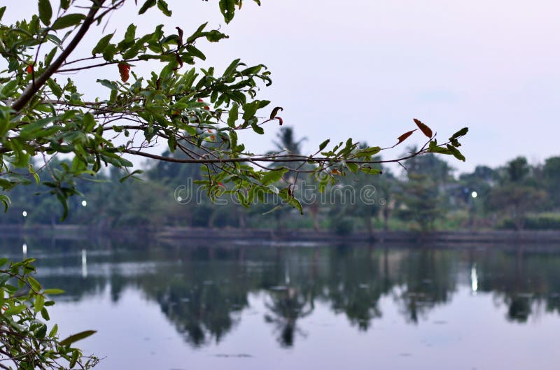 Beautiful Waterfront Scenery in a Rural Area Stock Photo - Image of ...