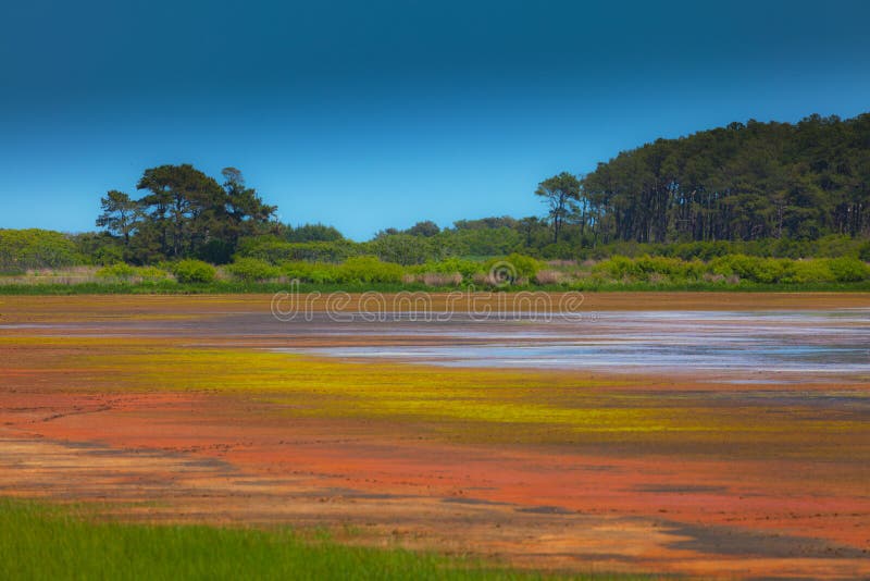 Beautiful Watershed and Marsh Scenery Stock Image - Image of fresh ...