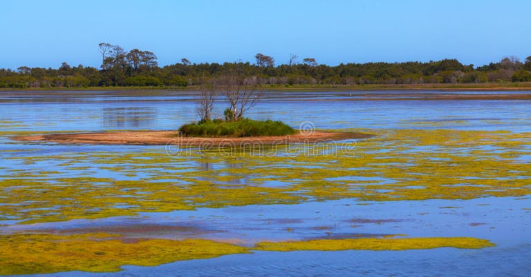 Beautiful Watershed and Marsh Scenery Stock Photo - Image of ...