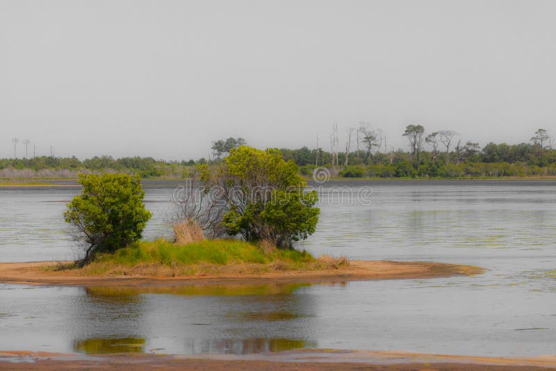 Beautiful Watershed and Marsh Scenery Stock Image - Image of pond ...
