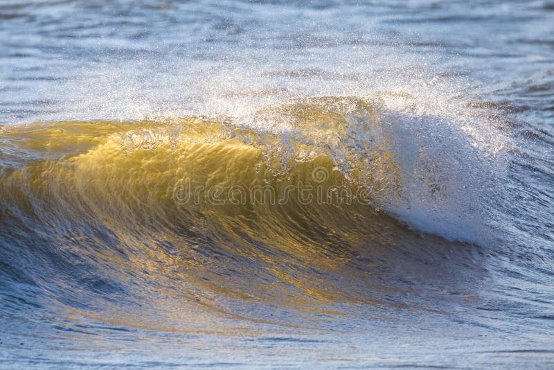 Beautiful Wave Rolls in Towards the Shore, Creating an Impressive ...