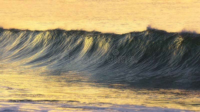 Beautiful wave at sunset stock photo. Image of splash - 81019188