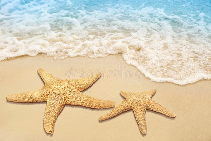 Beautiful Waves and Sea Stars on Sandy Beach Stock Photo - Image of ...