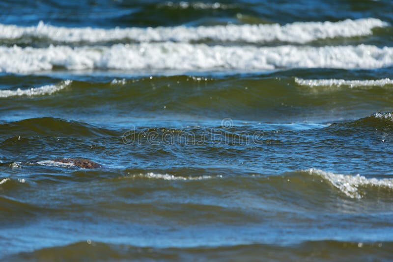 Beautiful wavy sea stock photo. Image of landscape, ocean - 191086066