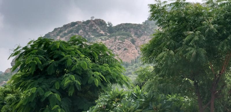 A Wayside View when on a Journey Stock Image - Image of spring, wayside ...