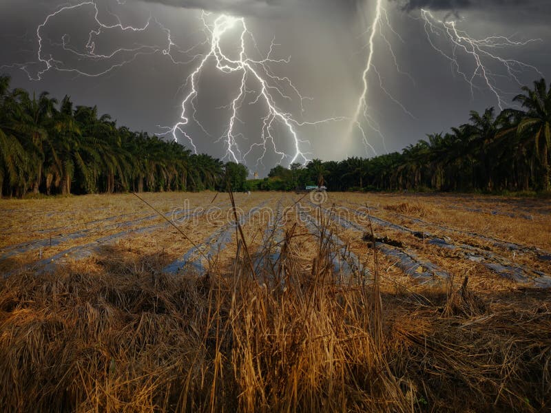 Beautiful Weather Scenery at the Fallow Landscape. Stock Image - Image ...
