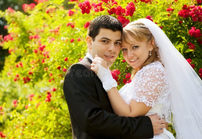 Beautiful wedding couple stock image. Image of bride - 20748463