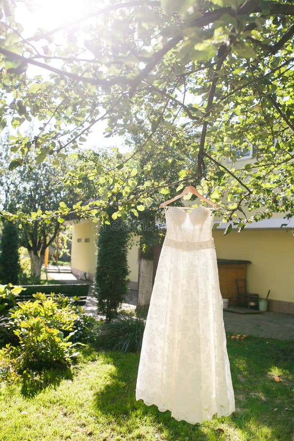 Beautiful Wedding Dress Hanging on a Tree Stock Photo - Image of long ...