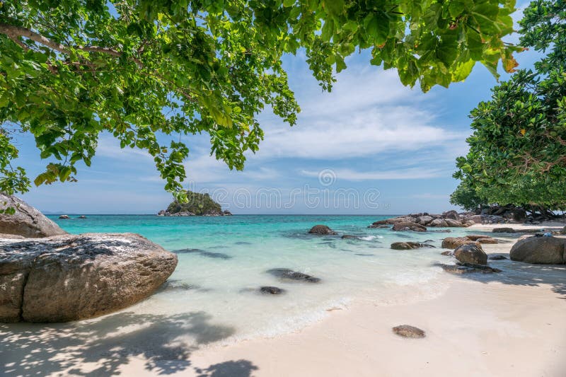 Beautiful White Beach with Tree in Tropical Sea Stock Photo - Image of ...