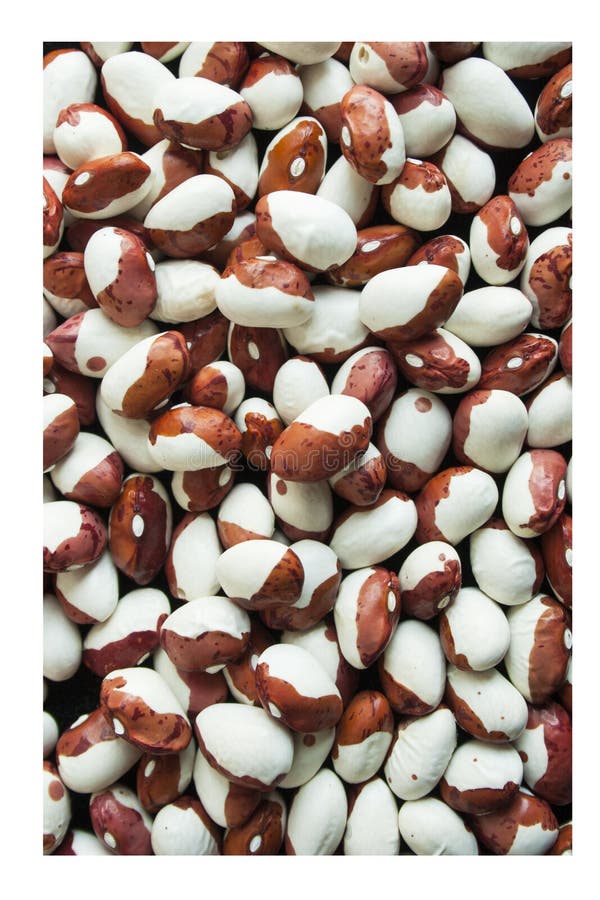 Beautiful White Beans and Brown Stock Image - Image of black, ground ...