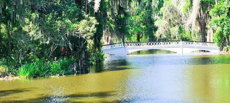 Beautiful white bridge editorial image. Image of white - 219236930