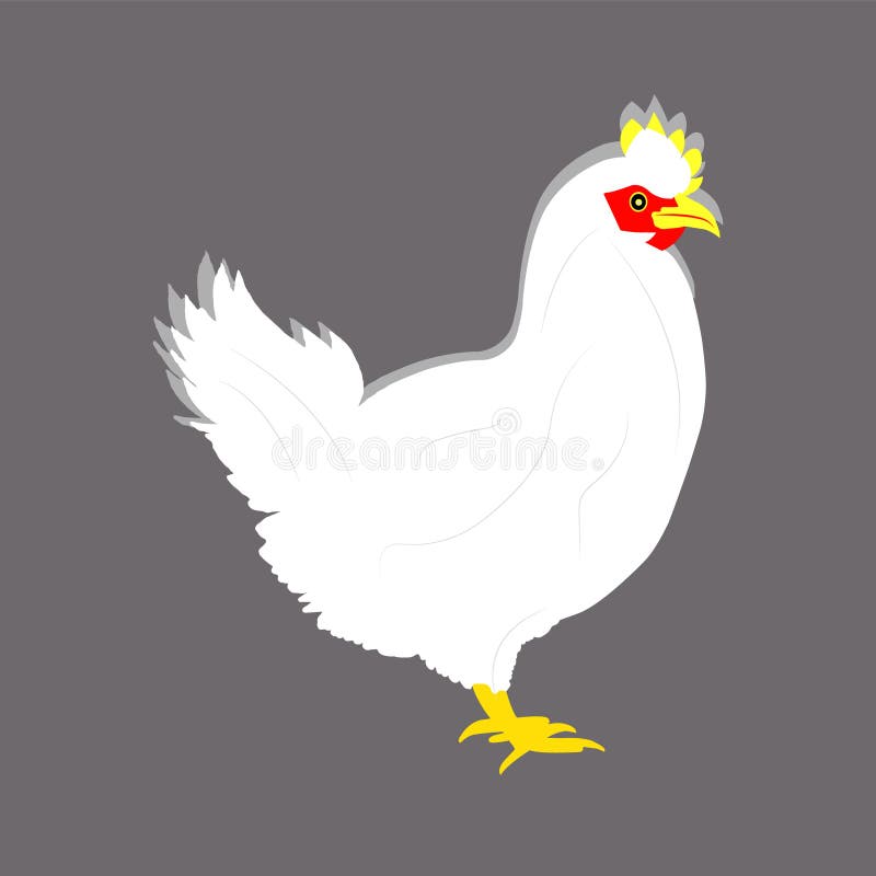 A Beautiful White Hen Vector Art Work Illustration. Stock Vector ...