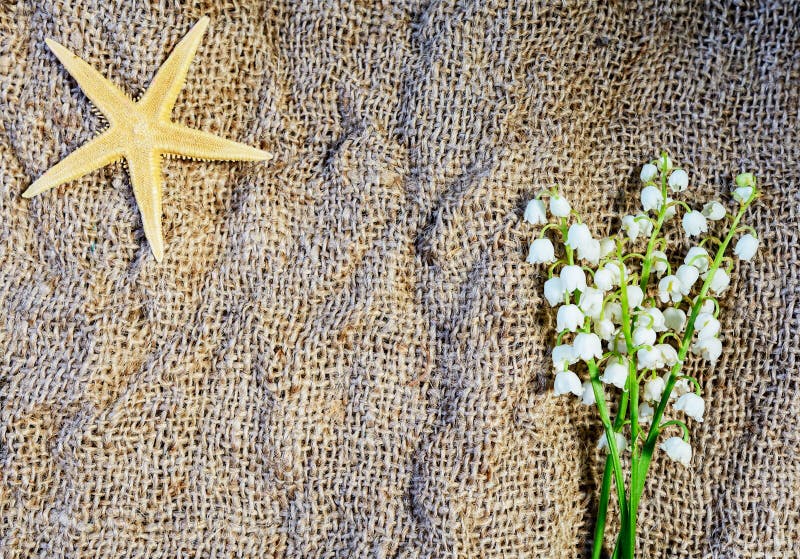 Beautiful White Lilies of the Valley and Starfish. Stock Image - Image ...