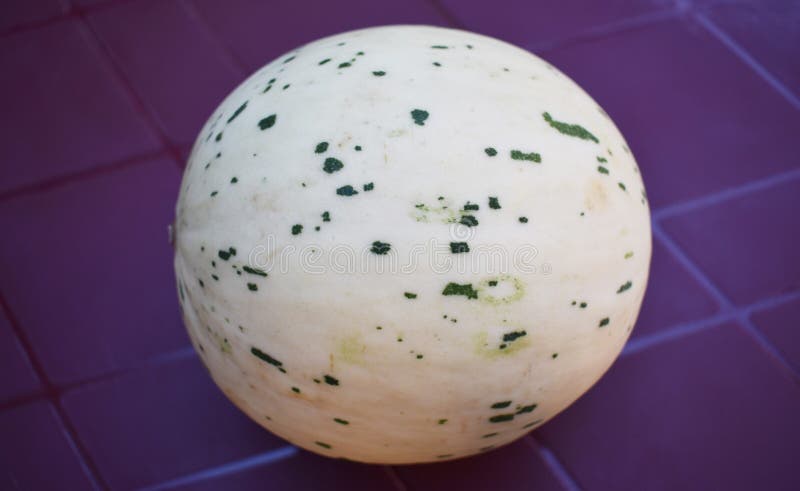 White melon seeds stock photo. Image of cooked, tasty, soup - 186646