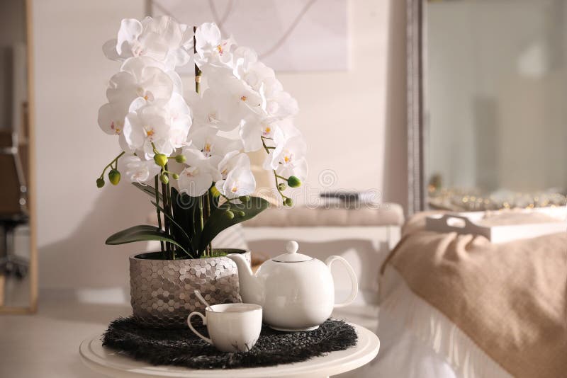 Beautiful White Orchids and Tea Set on Table in Room, Space for Text ...
