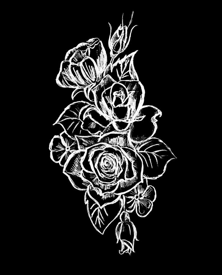 A Beautiful White Rose Flower on a Black Background Stock Illustration ...