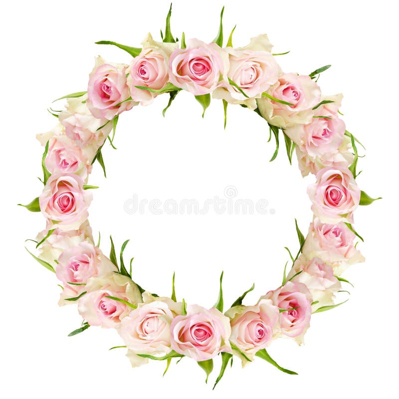 Round Frame with Bindweed Flowers Stock Image - Image of flowers ...