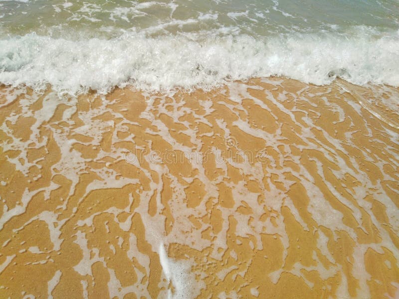 Beautiful White Sea Sponge on the Beach Stock Image - Image of white ...