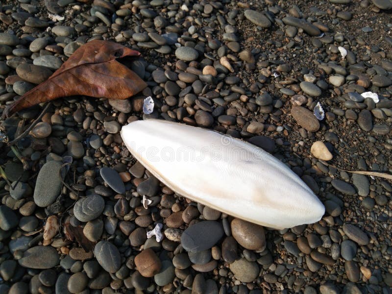 Beautiful Small Rocks on the Beach, Very Suitable for Wallpaper or ...