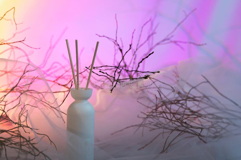 A Beautiful White Vase Containing Three Decorative Sticks in it Stock ...