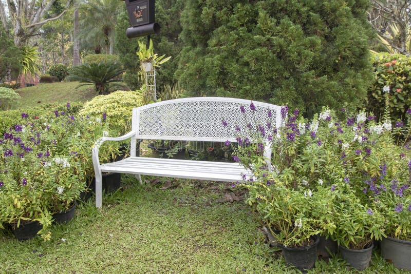 Beautiful White Vintage Iron Bench in the Garden Stock Photo - Image of ...