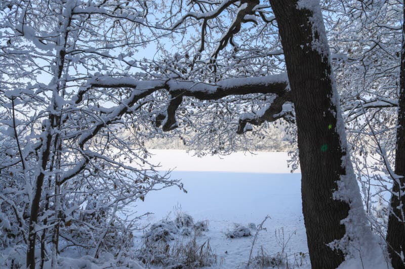 A Beautiful White Winter Landscape with Snow and Trees Stock Image ...