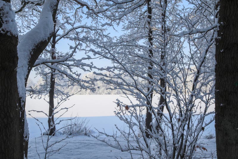 A Beautiful White Winter Landscape with Snow and Trees Stock Photo ...