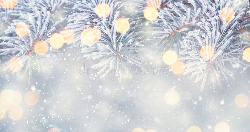 2,188 Wide Christmas Border Background Stock Photos - Free & Royalty ...