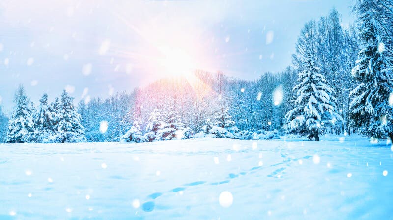 Beautiful Snow Backgrounds