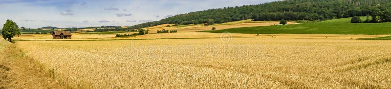 Beautiful Wide Meadows in Summer Stock Photo - Image of farmland ...