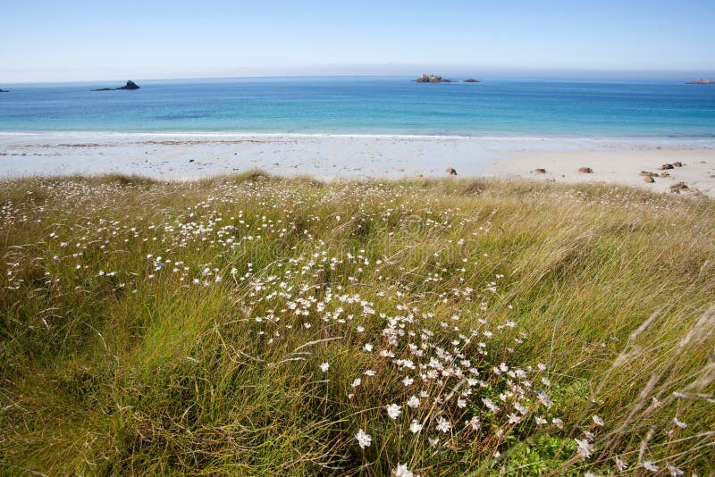 Beautiful wild beach stock image. Image of sand, sunny - 11026107