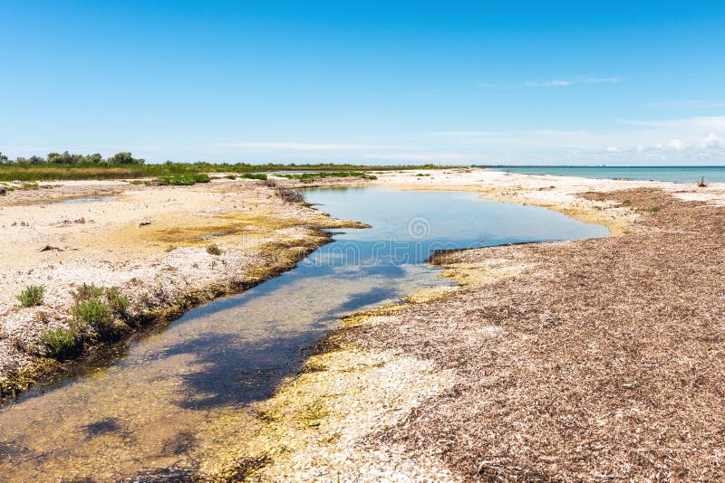 Beautiful Wild Beach on the Sea Coast Stock Photo - Image of shore ...