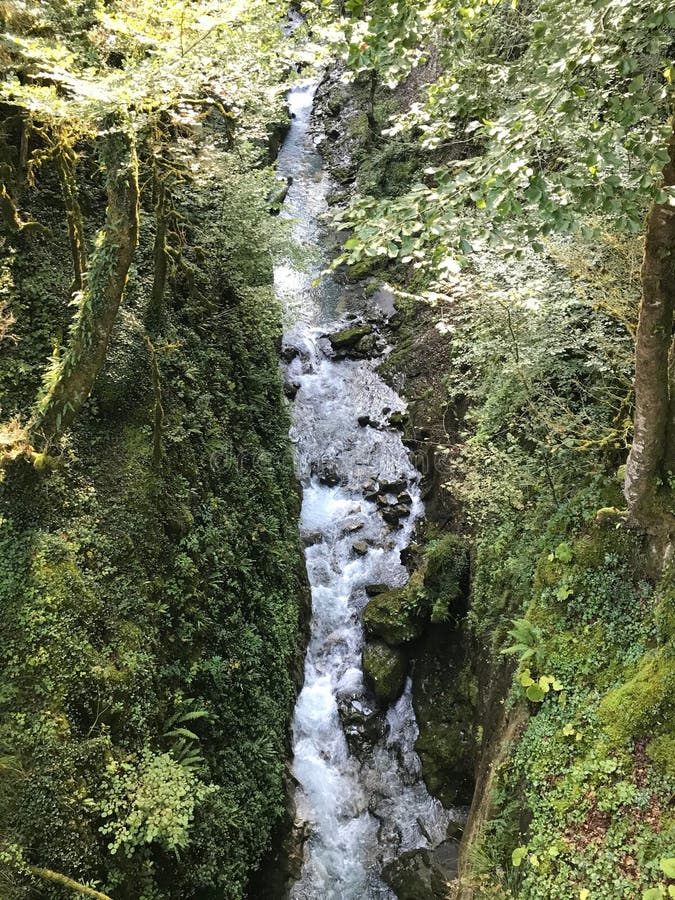 Pure Water Waterfall in the Wood Stock Image - Image of scenic, plant ...