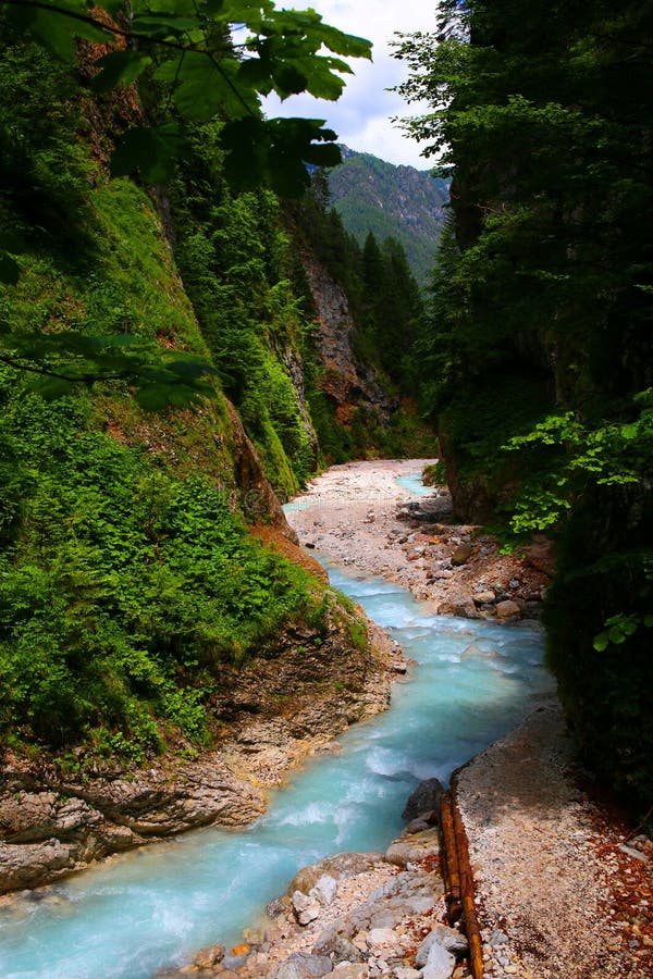 Beautiful Wild Waterfall in the Forest Stock Photo - Image of scenic ...