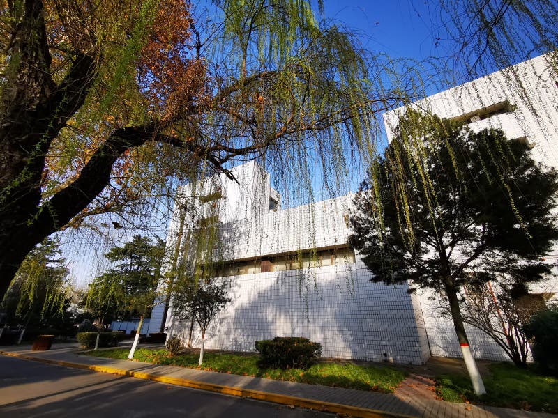 Willow Tree and White Building Stock Image - Image of willow, sunshine ...