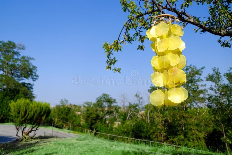 Beautiful Wind Chimes Hanging on Tree Outdoors Stock Image - Image of ...