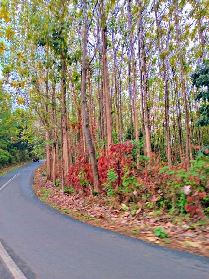 Beautiful Winding Road with Extraordinary Views Stock Image - Image of ...