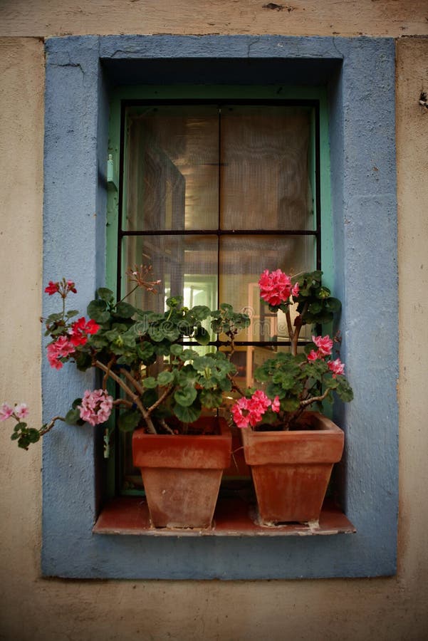 Beautiful Window with Flowers Stock Photo - Image of decoration, plant ...
