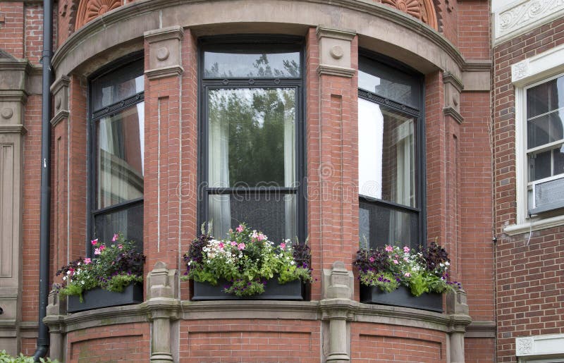 Beautiful windows stock image. Image of garden, growth - 75687265