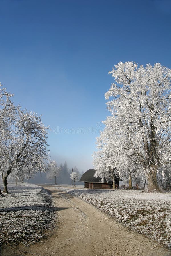 Beautiful Winter stock image. Image of crossing, color - 3734191