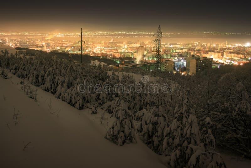 Beautiful Winter City Landscape with Pine Trees in Snow Stock Photo ...