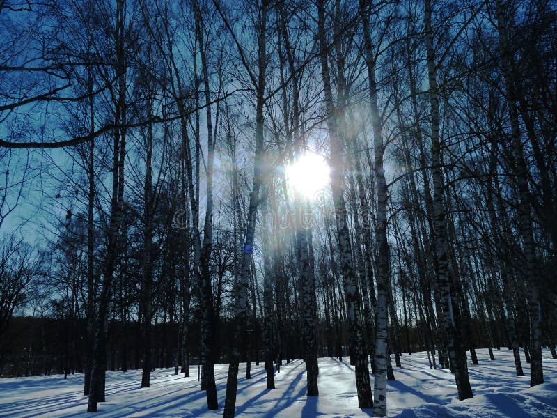 Beautiful Frosty Winter Day . Winter Sun. Stock Photo - Image of snowy ...