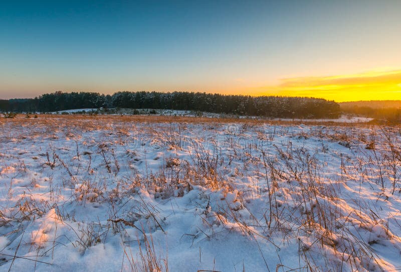 Beautiful Winter Fields and Trees Landscape Stock Image - Image of ...