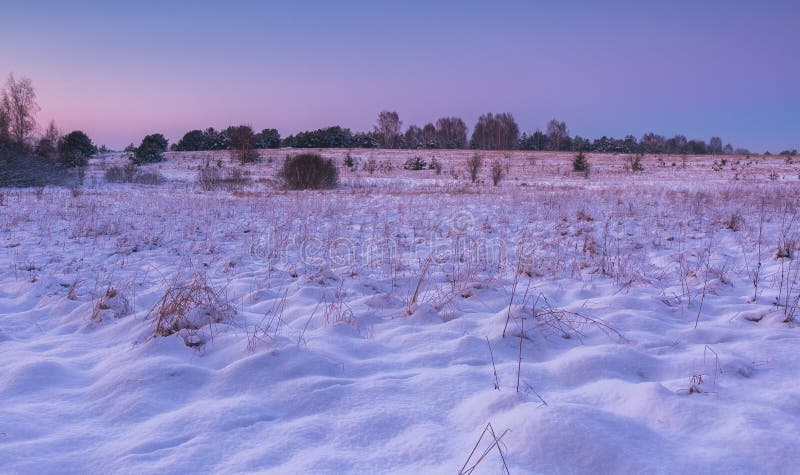 Beautiful Winter Fields and Trees Landscape Stock Image - Image of ...