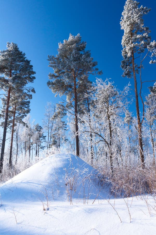 Beautiful winter forest stock photo. Image of road, highway - 34085768